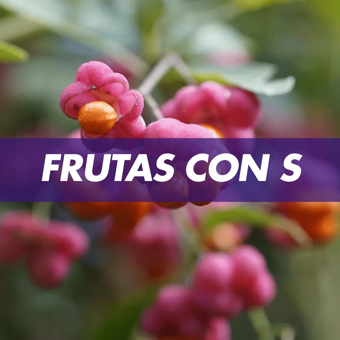 Fruta con S, Frutas Saludables y Sabrosas que Empiezan con S