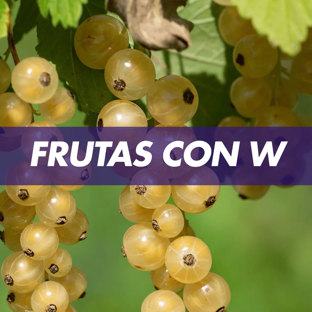 Lista de Las 15 Puras Frutas con W